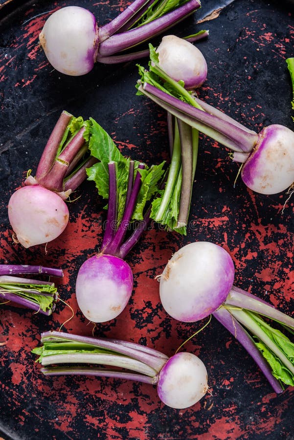 Spring Fresh Young Purple Turnip Stock Photo - Image of root, color ...