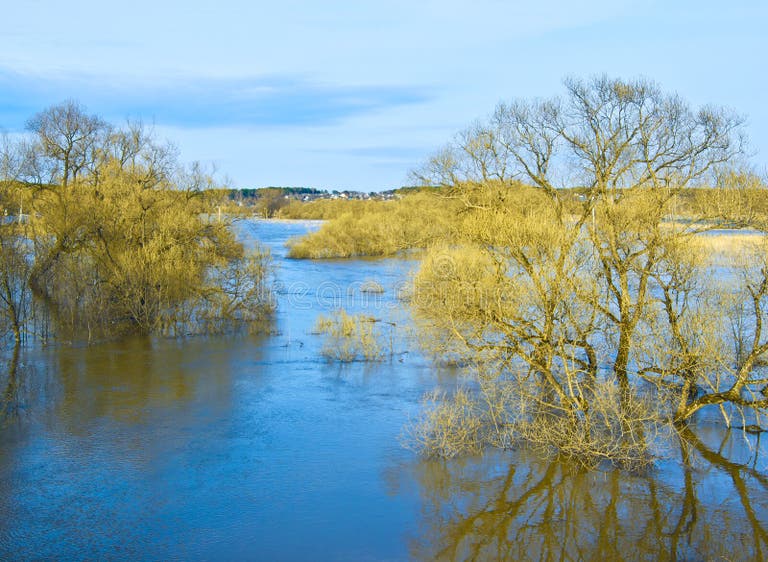 Spring freshet stock photo. Image of meadow, coast, climate - 29613572