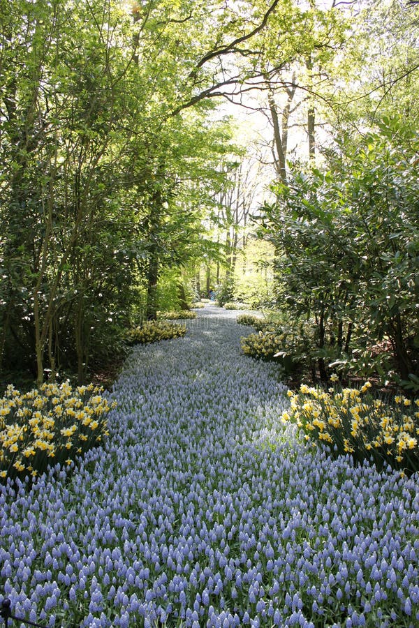 Spring freshness stock image. Image of feelings, pink - 41030787