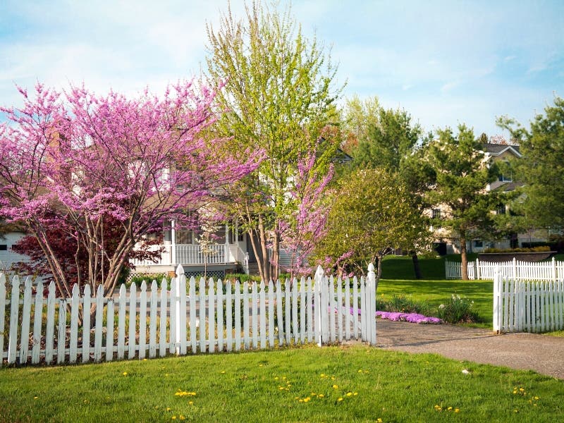 Spring Front Yard stock photo. Image of white, americana - 65301986