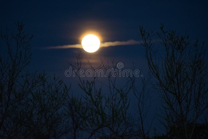 Spring Full Moon Glowing Down Stock Image - Image of creation, pink ...
