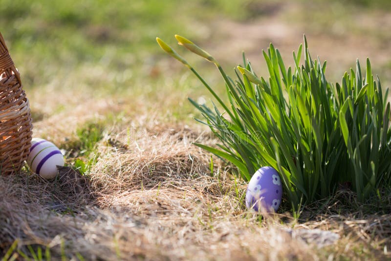 Spring Fun - Finding Eggs for Easter Outdoor in Countryside. Stock ...