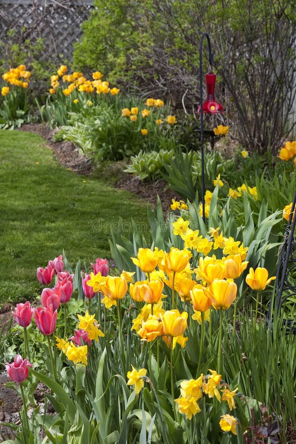 Spring Gardeb stock image. Image of garden, bush, perennials - 17947527