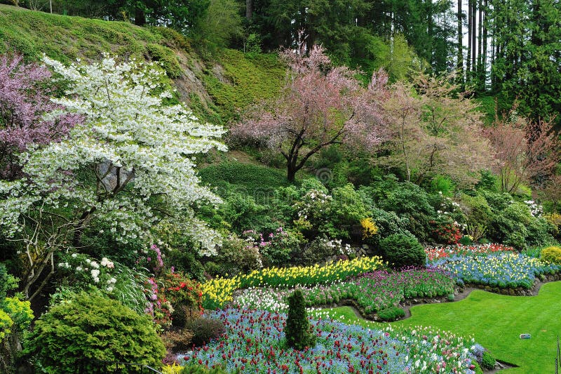 Spring garden view stock image. Image of flowers, famous - 17513253