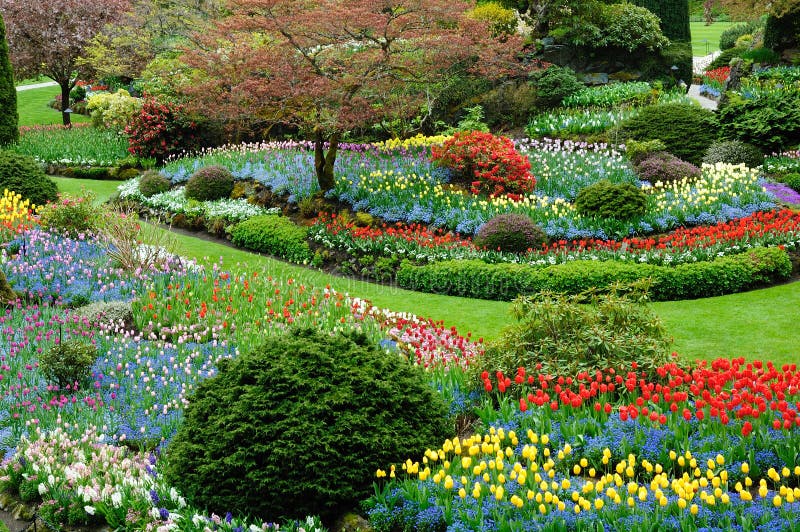 Spring garden view stock image. Image of flowers, famous - 17513253