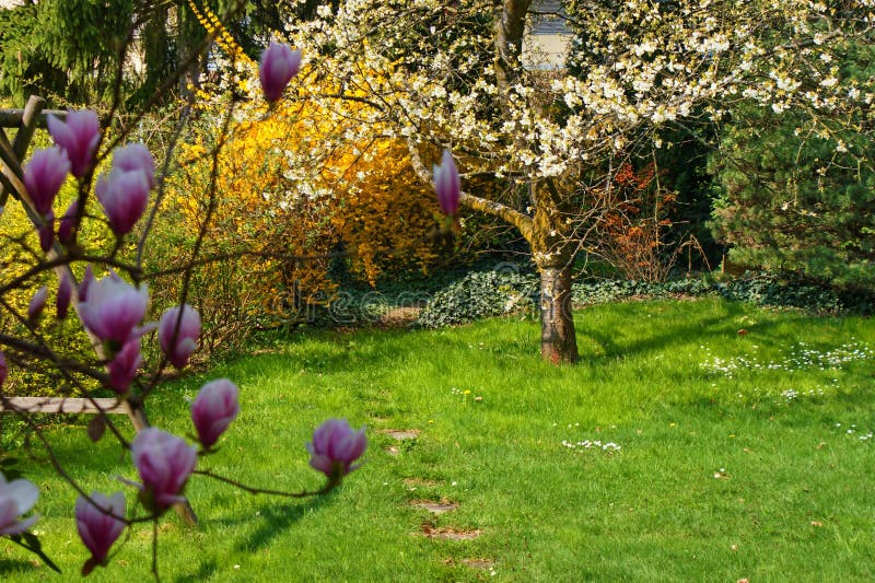Spring garden stock image. Image of pictorial, gardening - 16573995