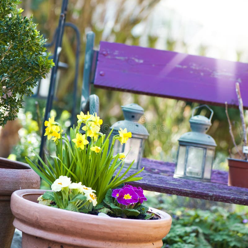 Spring in the Garden stock photo. Image of garden, herb - 24311744