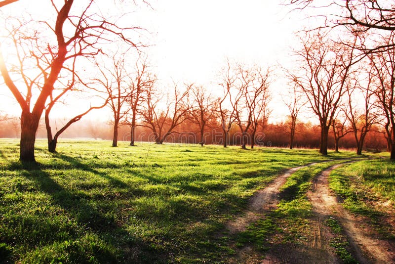 Spring garden stock image. Image of farm, landscape, trees - 4587363