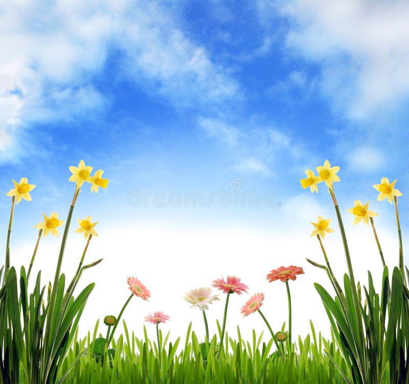 Spring garden stock image. Image of decorate, flowers - 4680891