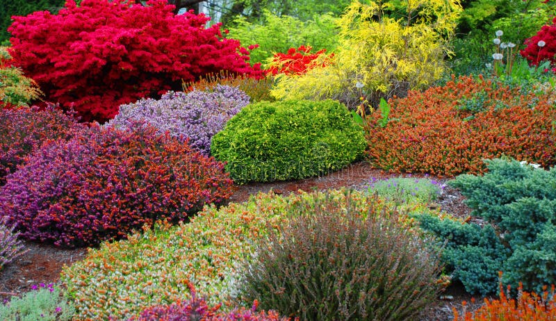 Spring Garden stock image. Image of gardening, foliage - 5131203