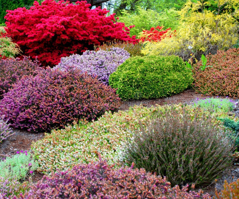 Spring Garden stock photo. Image of summer, colorful, floral - 5132502