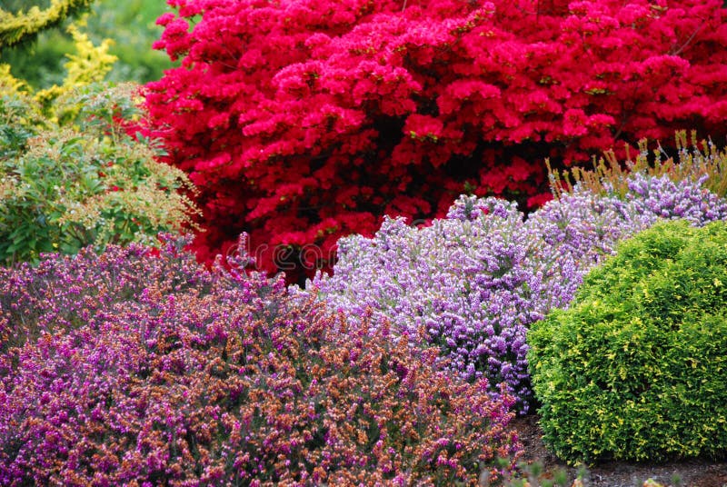 Spring Garden stock image. Image of gardening, foliage - 5131203