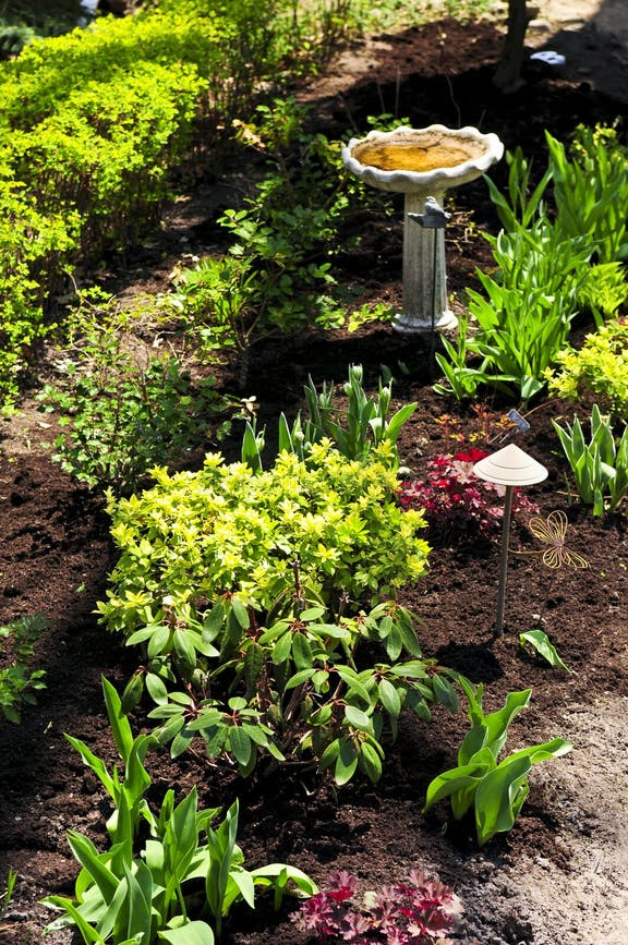 Spring garden stock image. Image of flora, landscaped - 7753885