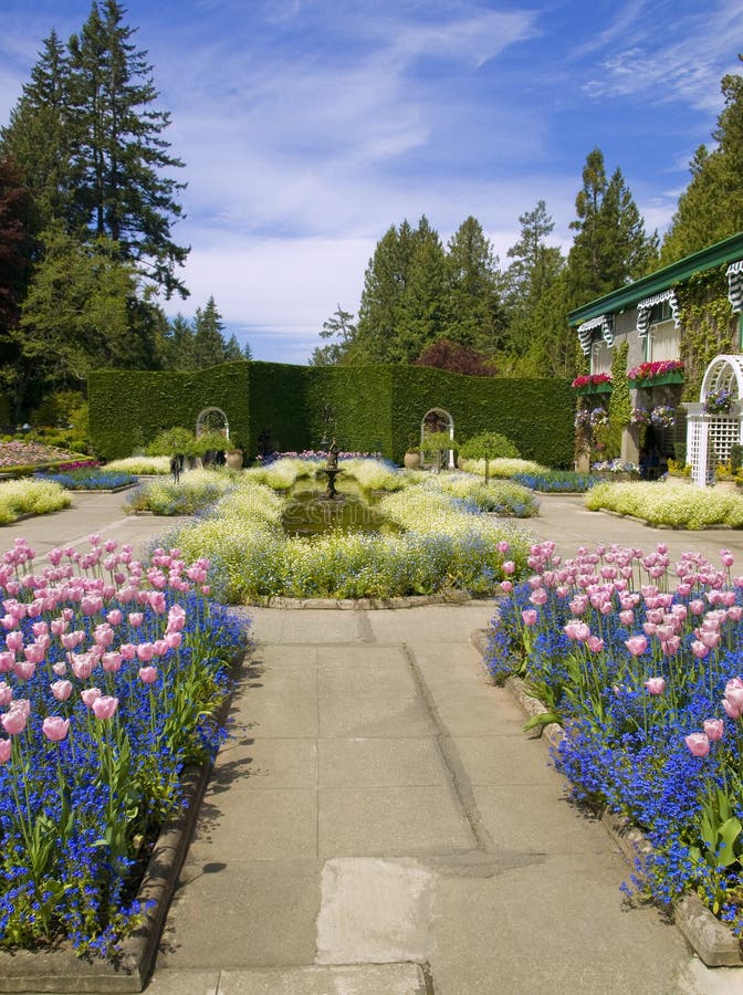 Spring garden stock image. Image of flowerbed, garden - 8401039