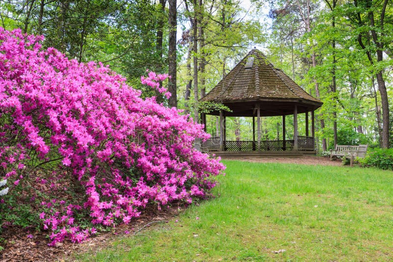 Spring Garden Falls Park Greenville SC Stock Photo - Image of ...
