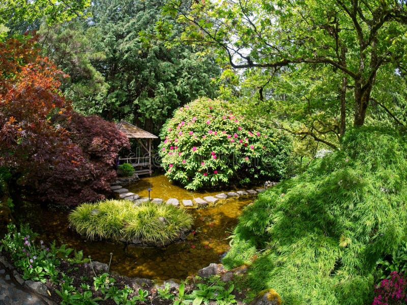 Spring garden stock image. Image of cherry, pink, garden - 167440637