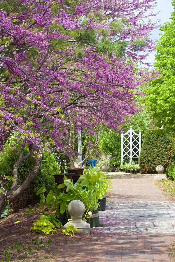 Natural Landscaped Spring Garden Stock Image - Image of yellow, beauty ...