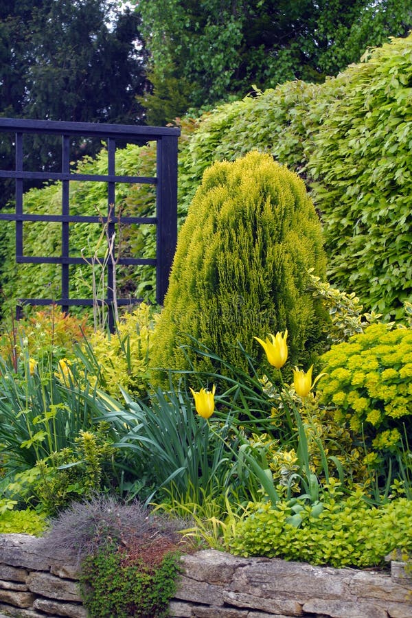 Spring garden border stock photo. Image of photograph - 115285642