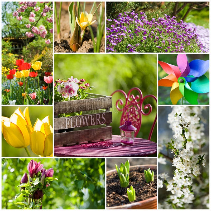 Spring collage stock image. Image of lantern, plum, purple - 28794139