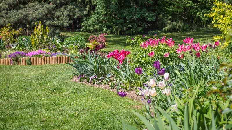 Spring garden stock photo. Image of beds, orange, garden - 83626360