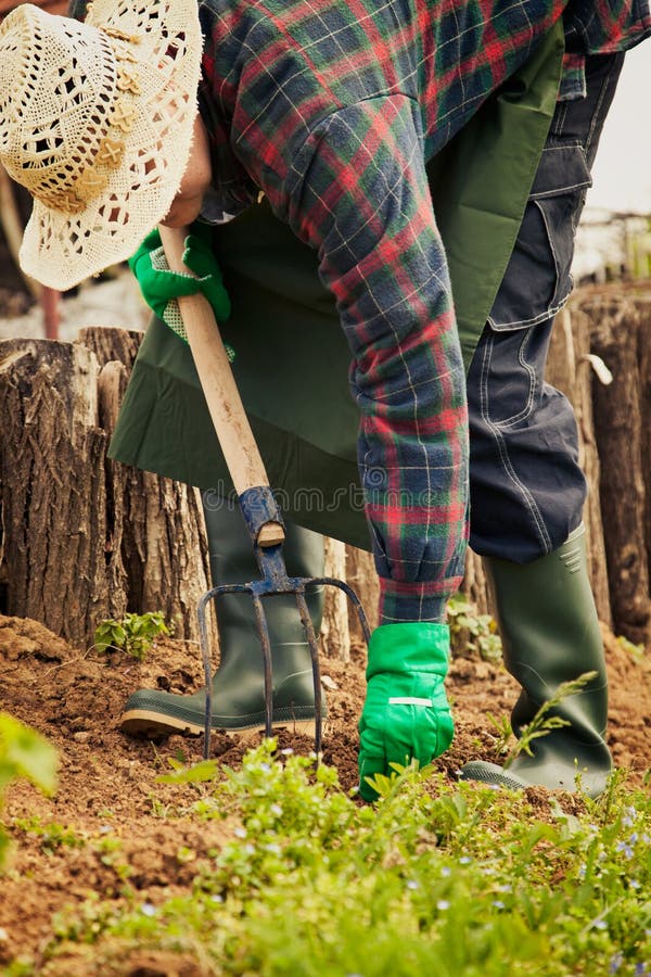 Man Digging in Vegetable Garden Stock Image - Image of garden, jeans ...