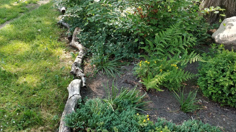 Spring garden stock image. Image of projects, give, touch - 117288385