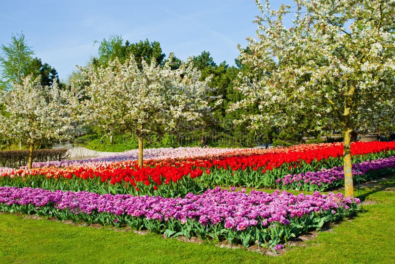 Spring garden landscape stock photo. Image of garden - 40537158