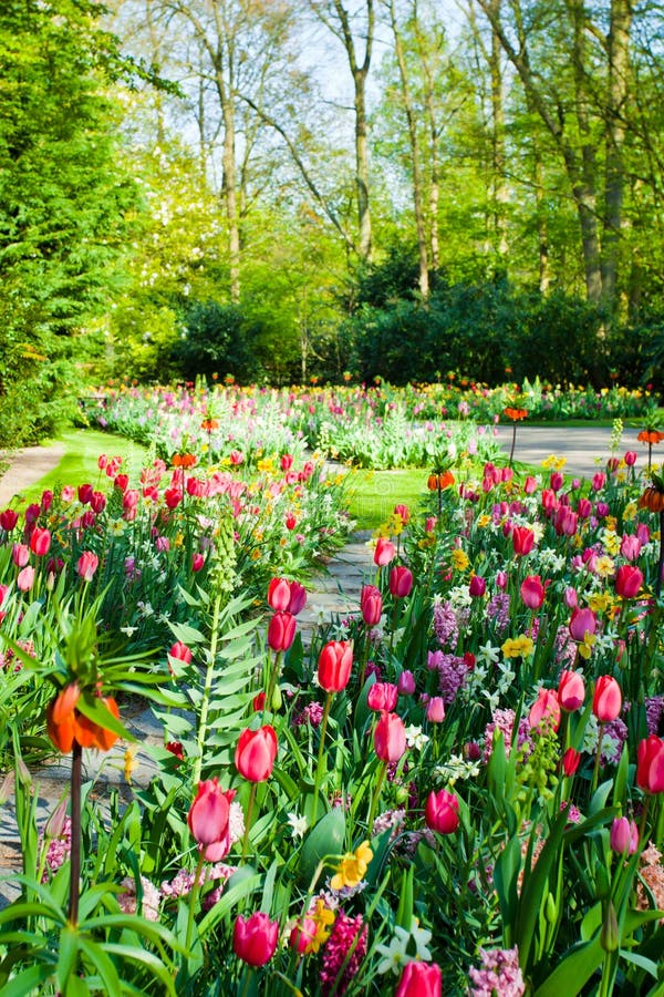 Spring garden view stock image. Image of flowers, famous - 17513253