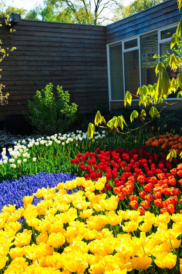 Spring garden landscape stock photo. Image of lush, green - 40538588