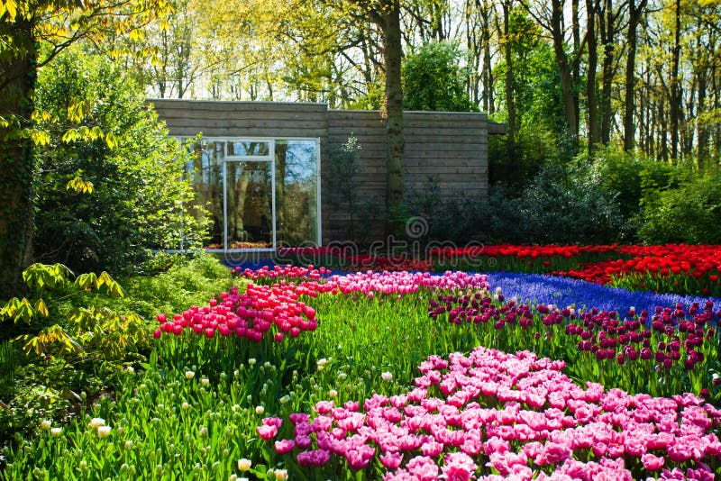 Spring garden landscape stock photo. Image of nature - 40538596