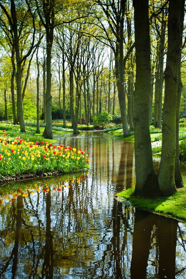 Spring garden landscape stock image. Image of plant, garden - 40538619