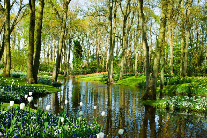 Spring garden landscape stock photo. Image of bright - 40538624