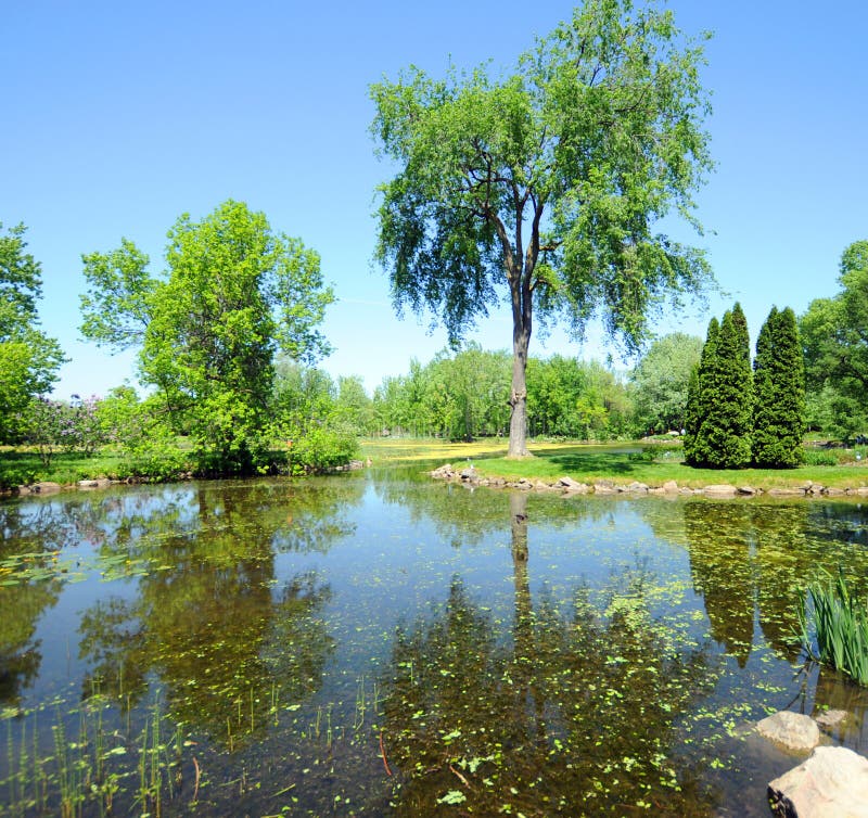 Spring garden landscape stock image. Image of beauty - 123341075