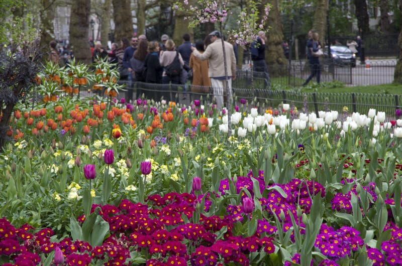 Spring garden London park editorial photo. Image of london - 106827271