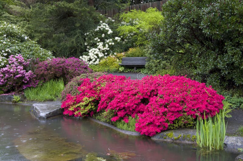 Spring garden stock image. Image of backyard, green, spring - 40894345