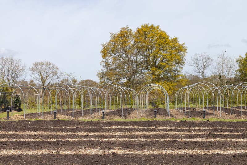 Spring Garden Patch Prepared for Growing Stock Photo - Image of hobby ...