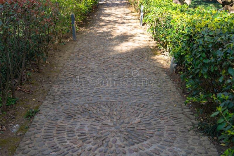 Spring garden path stock photo. Image of plant, bush - 312216658