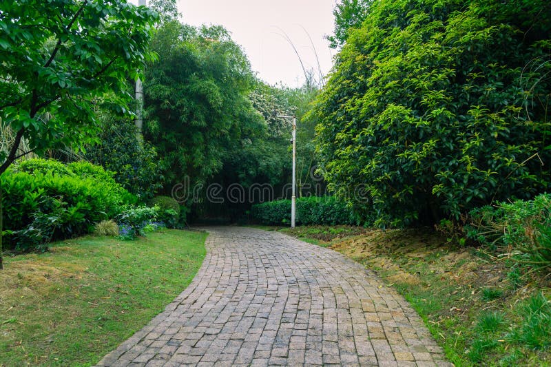 Spring garden path stock photo. Image of plant, beautiful - 314392144