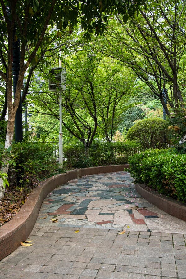 Spring garden path stock image. Image of beautiful, plant - 314392751