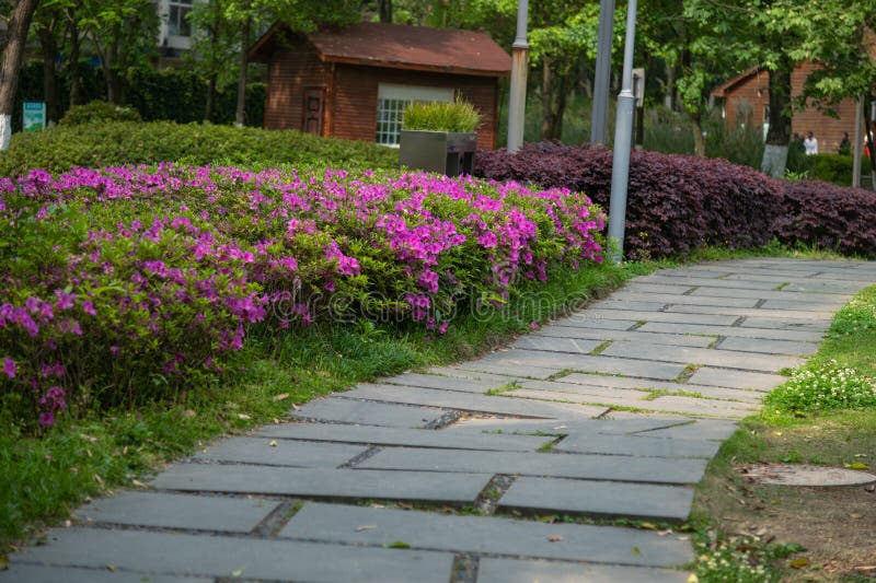 Spring garden path stock photo. Image of landscape, road - 315256580