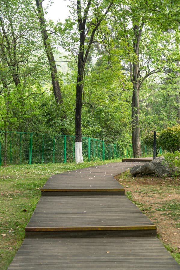 Spring garden path stock photo. Image of season, garden - 315256604