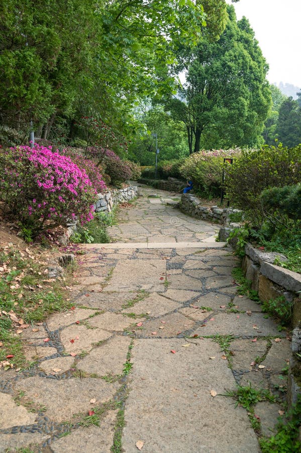 Spring garden path stock image. Image of beauty, beautiful - 315256677