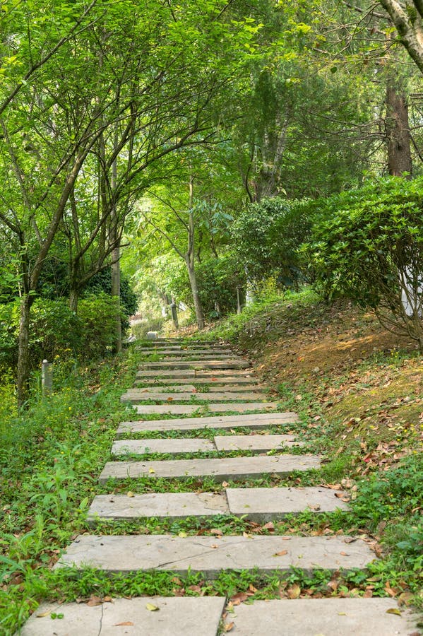 Spring garden path stock image. Image of garden, stone - 315256753