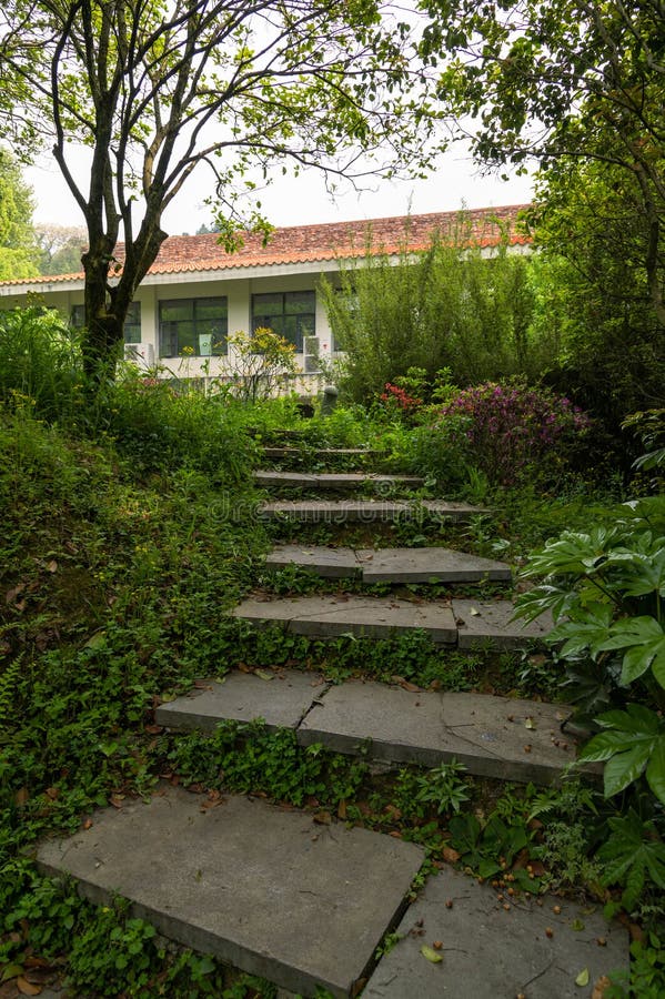 Spring garden path stock photo. Image of season, garden - 315256868