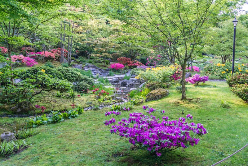 Spring Garden Profuions 7 stock image. Image of spring - 150581441