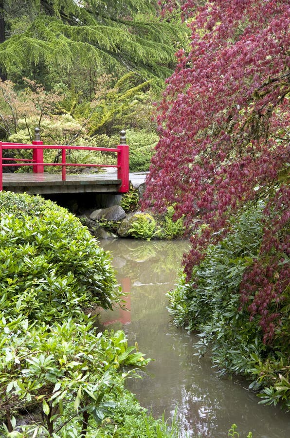 Spring garden after rain stock photo. Image of garden - 39957234