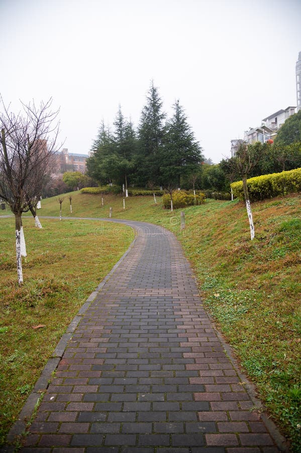 Spring garden stone path stock image. Image of tree - 311154815