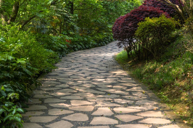 Spring garden path stock photo. Image of beauty, garden - 315257118