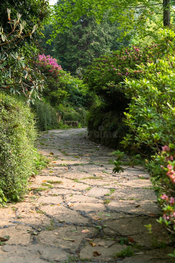 Spring garden path stock photo. Image of spring, landscaping - 315256656