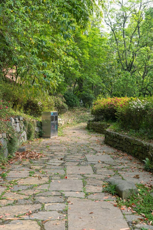 Spring garden path stock image. Image of garden, landscape - 315256701